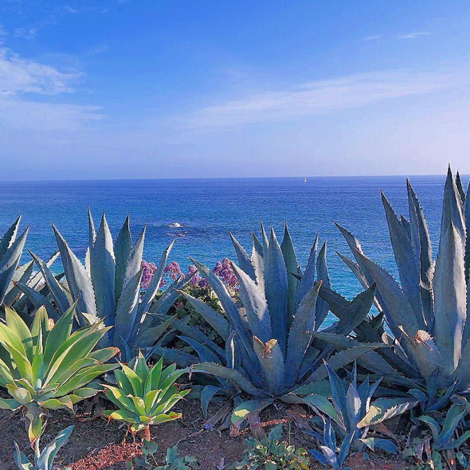 Laguna Beach Summertime Visit: A Mixed Bag | Highway to Hoeftland
