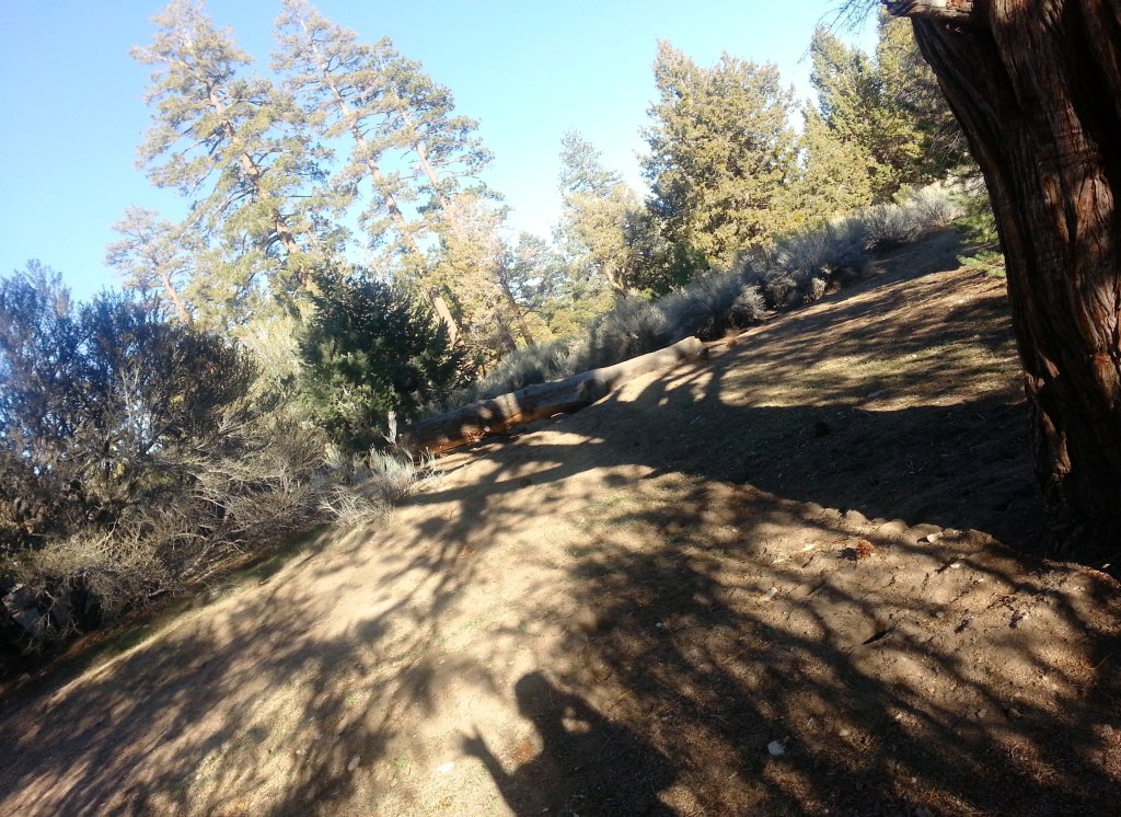 Travel Trailer Camping at Serrano Campground, Big Bear Lake, California ...