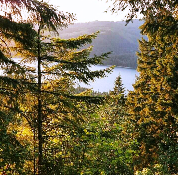 Lake Merwin Camper’s Hideaway: A Unique & Beloved Private Campground in ...