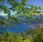 Lake Merwin Camper’s Hideaway: A Unique & Beloved Private Campground in ...