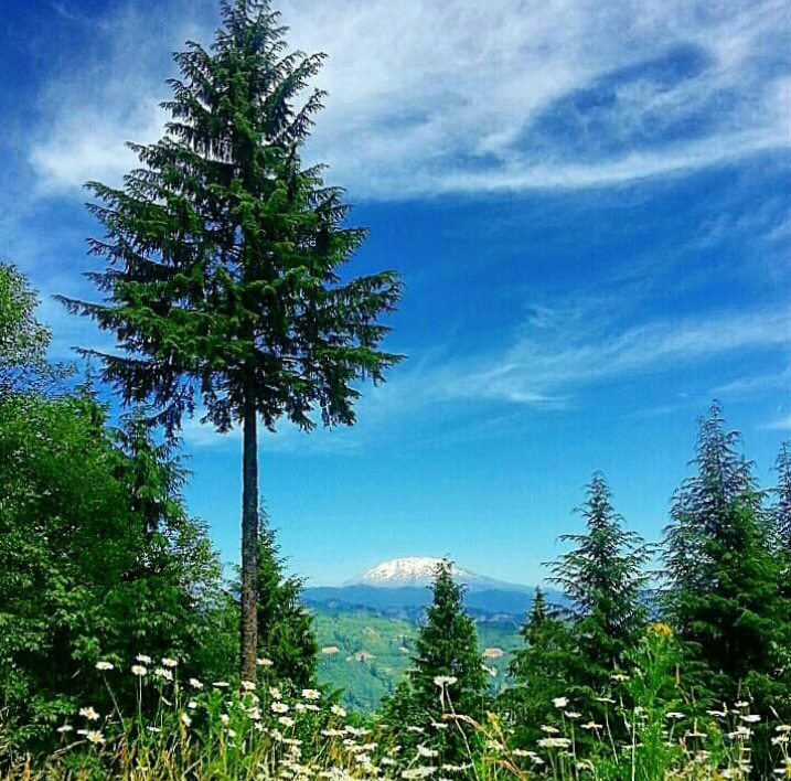 Lake Merwin Camper’s Hideaway: A Unique & Beloved Private Campground in ...